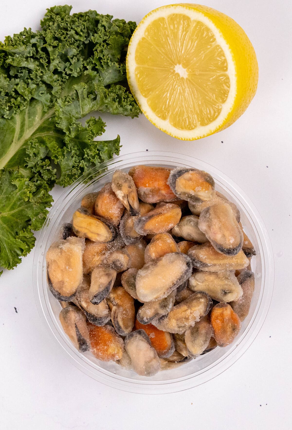 Mussel Meat (frozen) | Potter Street Fishmongers