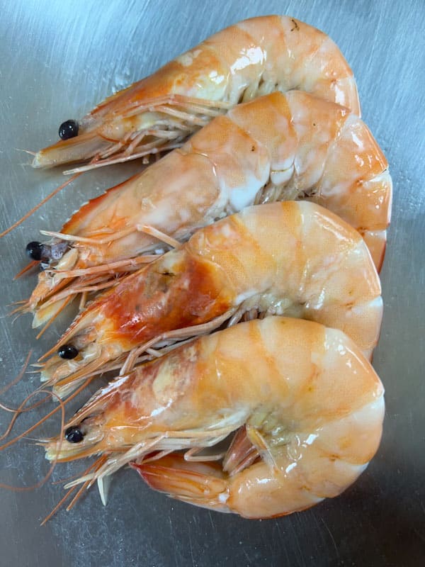 King Prawns Shell-on Cooked | Potter Street Fishmongers